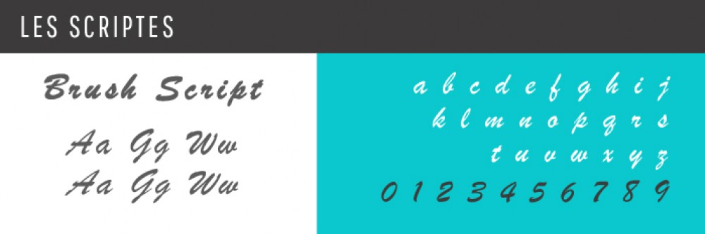 Les typographies scriptes et manuaires